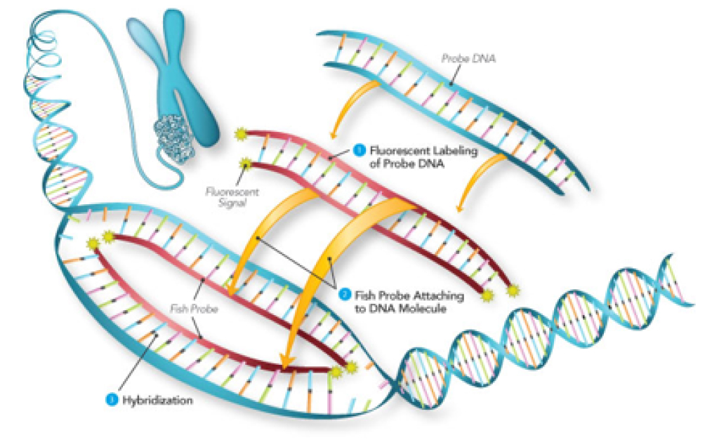 DNA Analytics - Prediction Made Better